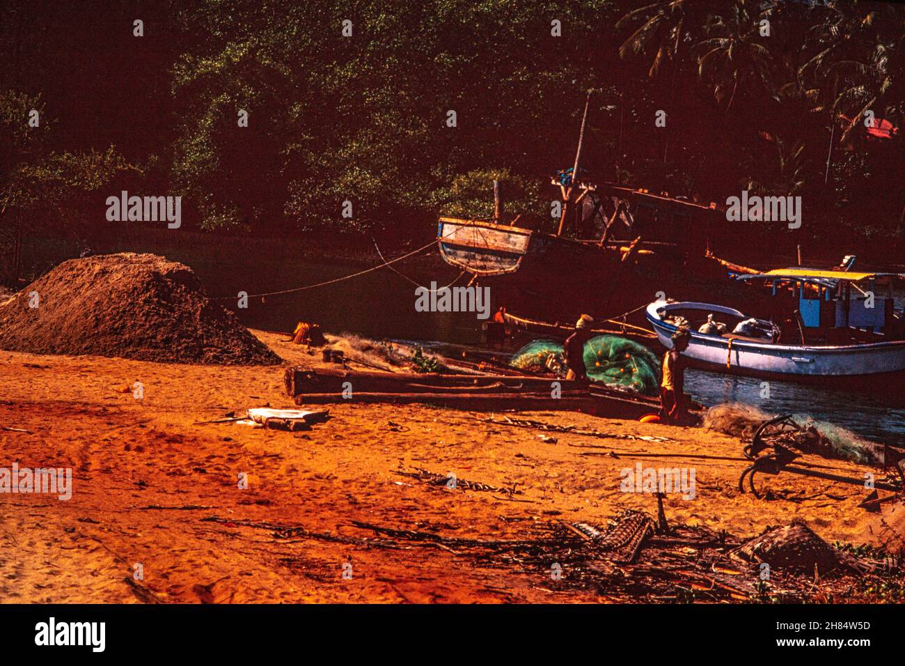 Beauty of rural Goa. High resolution intimate recollection of idyllic holiday location for ...