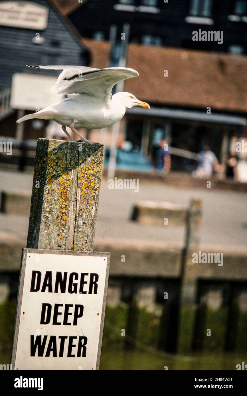 Mobile upon hatching hi-res stock photography and images - Alamy