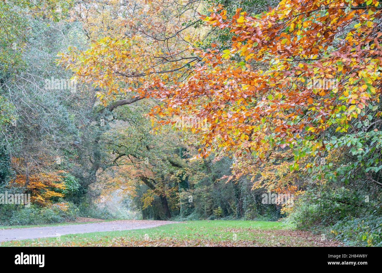 Soton common hi-res stock photography and images - Alamy