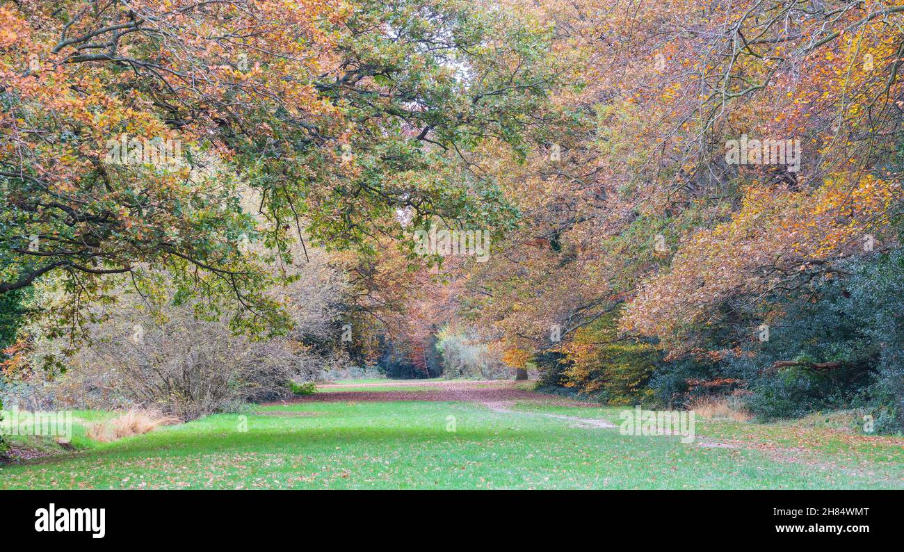 Autumn on southampton common hi-res stock photography and images - Alamy