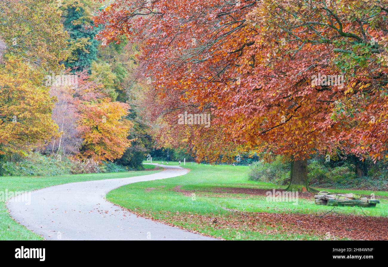 Soton common hi-res stock photography and images - Alamy
