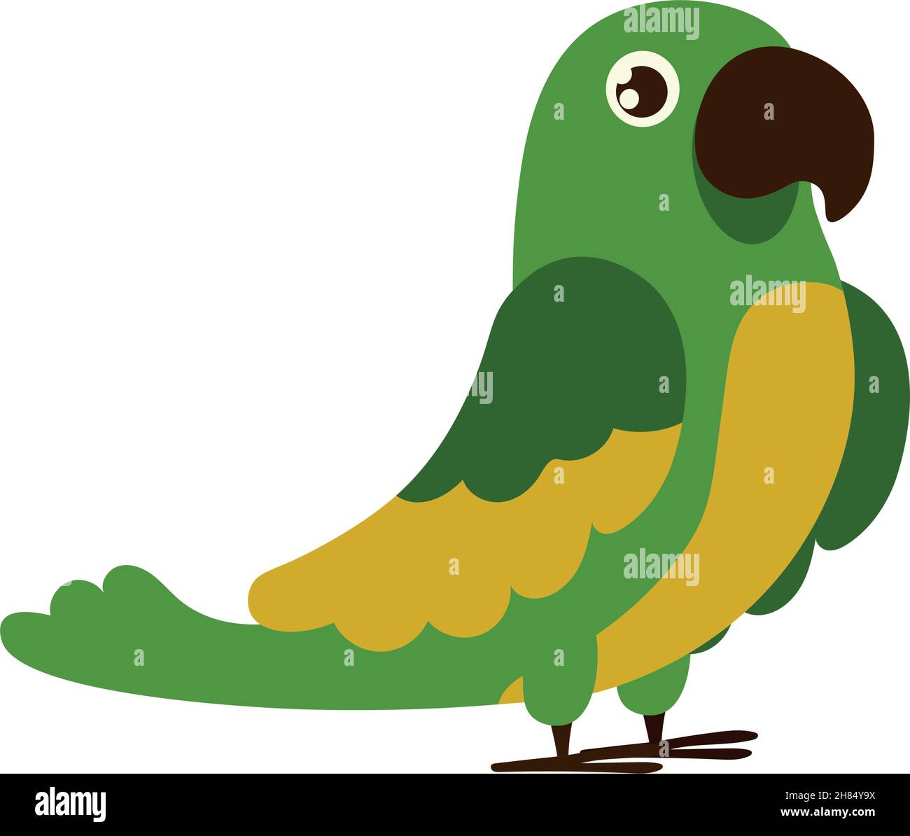 cute parrot bird Stock Vector Image & Art - Alamy