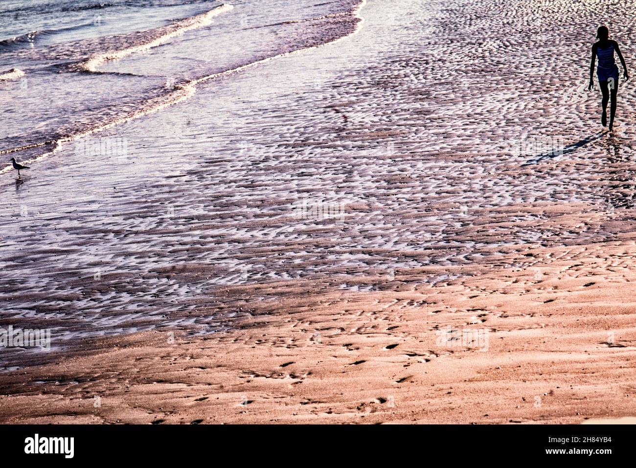 Print ready high resolution semi-abstract beach portrait with incoming ...