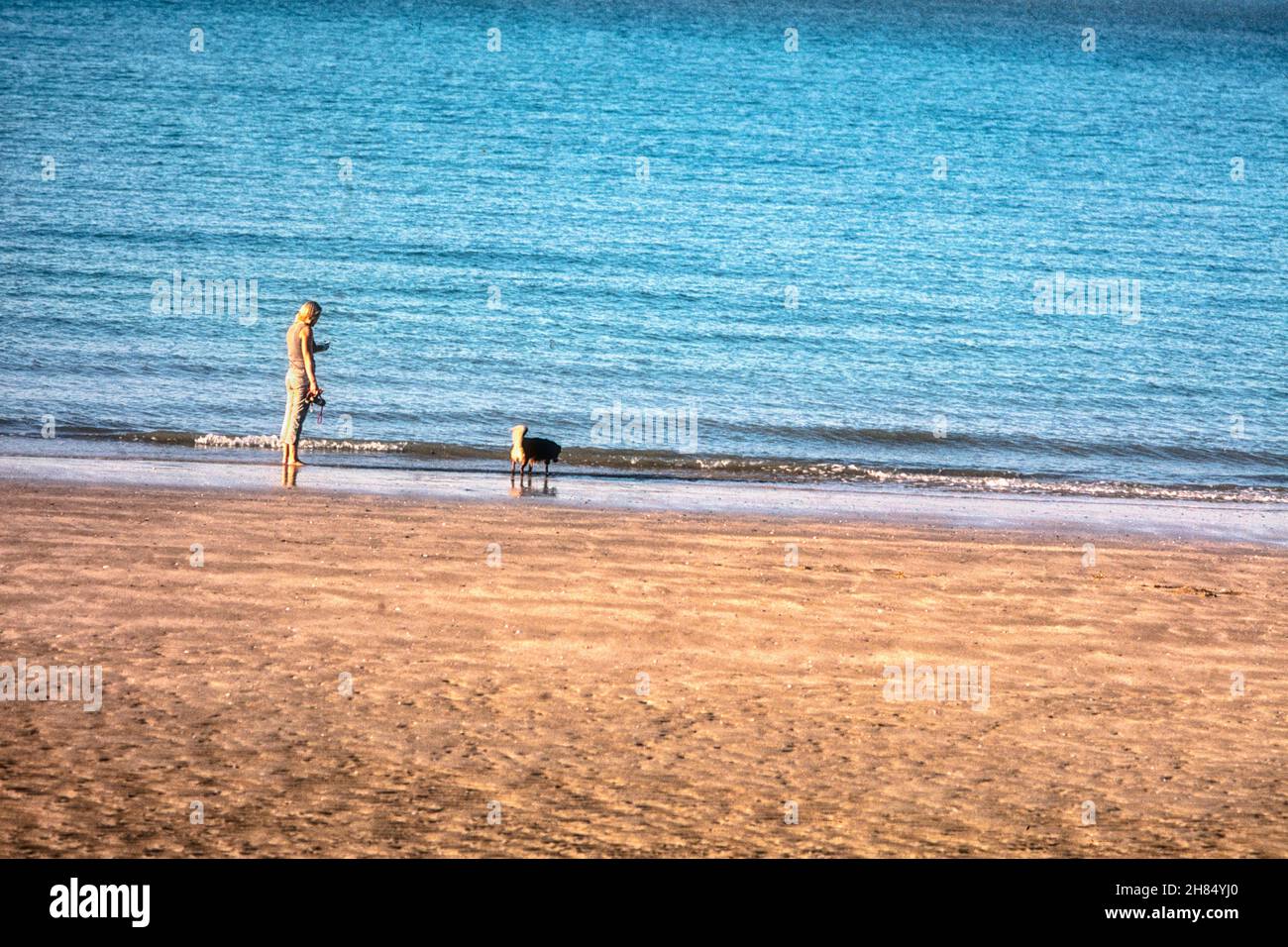 Print ready high resolution semi-abstract beach portrait with incoming ...