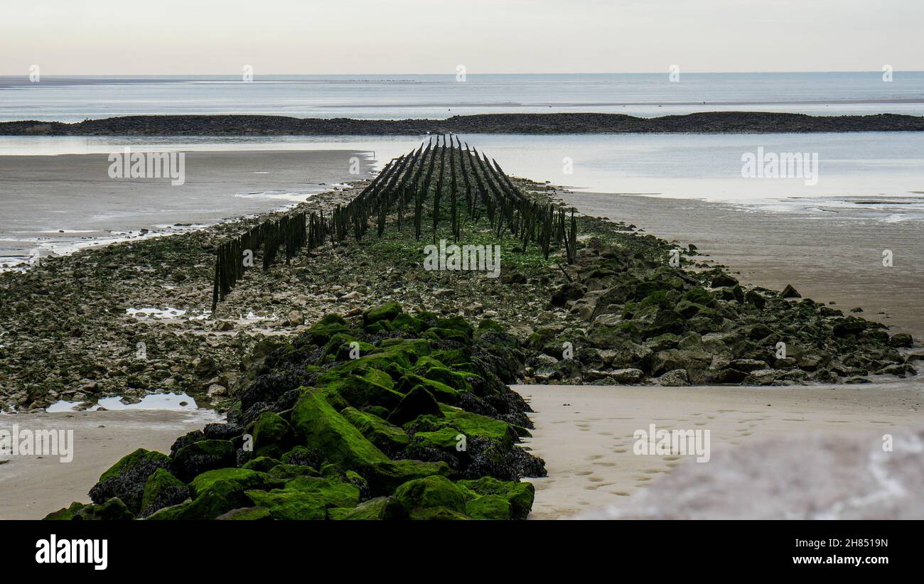 Authie Bay, Pas-de-Calais, North-Western France Stock Photo - Alamy