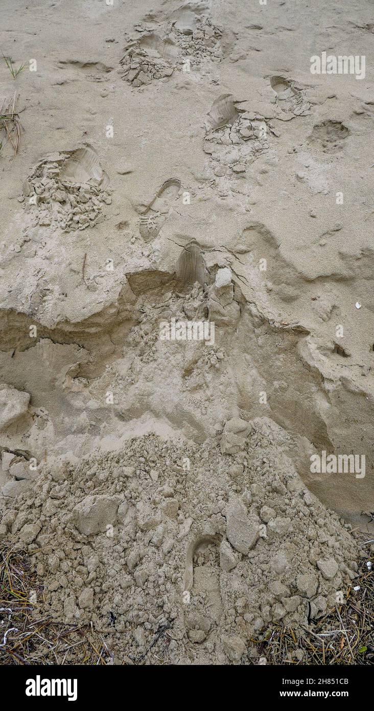 Authie Bay, Pas-de-Calais, North-Western France Stock Photo - Alamy