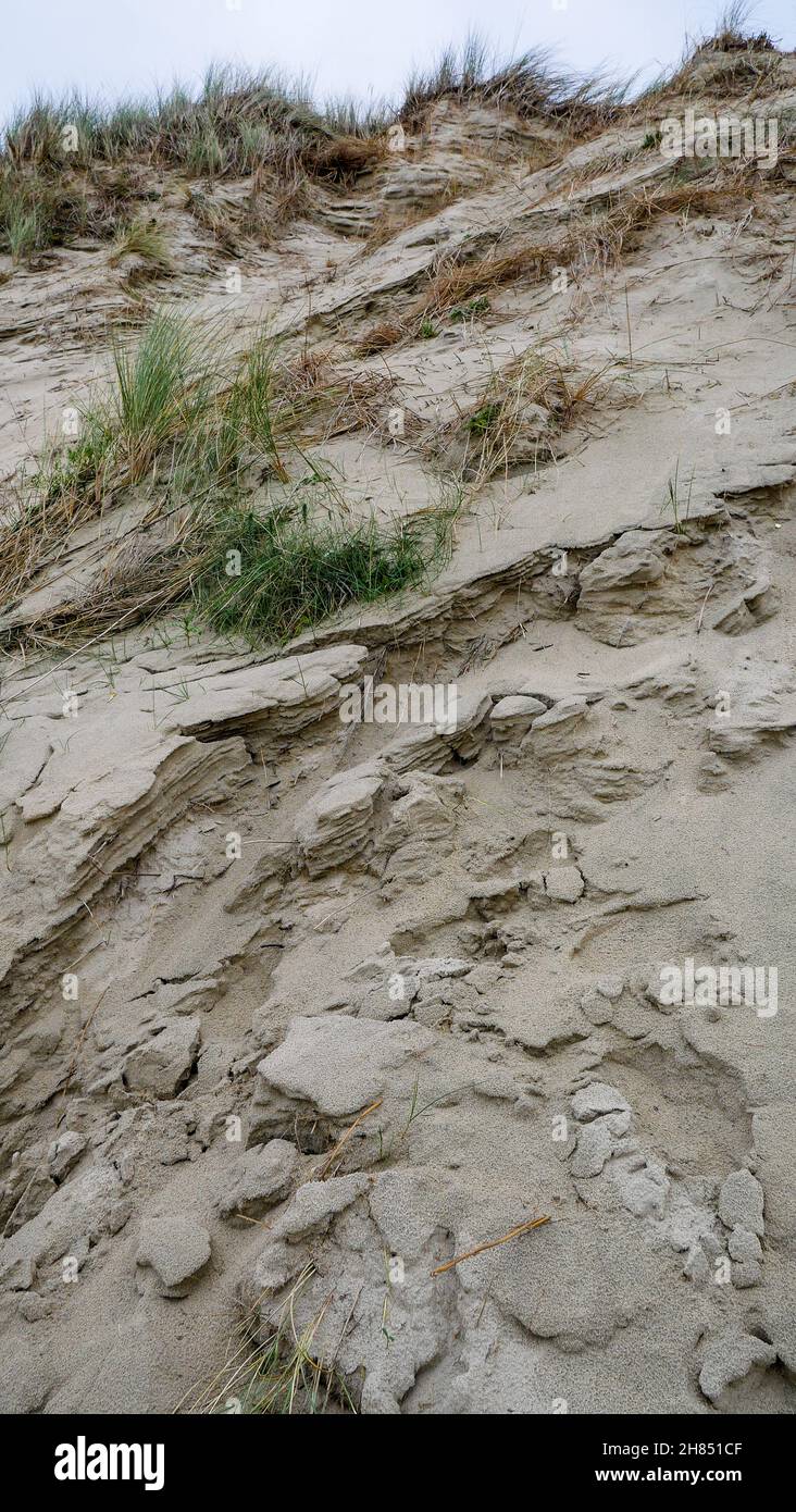 Authie Bay, Pas-de-Calais, North-Western France Stock Photo - Alamy