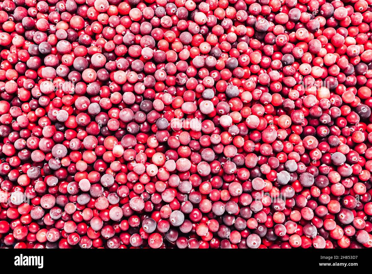 Red Cranberry background Stock Photo - Alamy