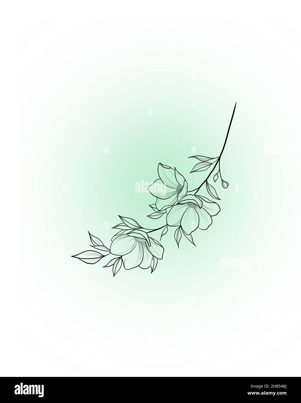 Beautiful sketch of a tattoo - a delicate twig with flowers . Flowers ...