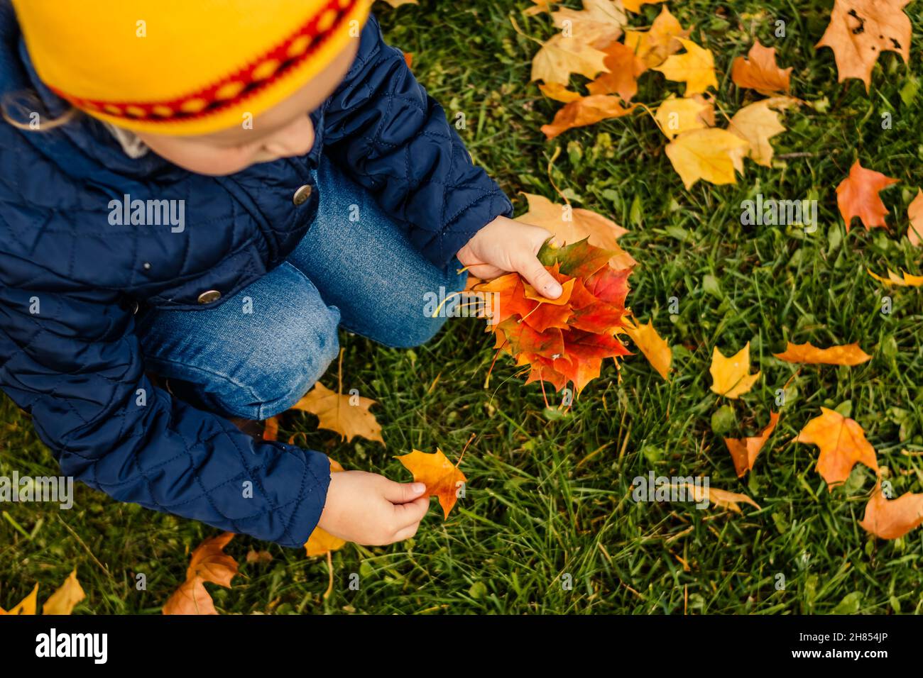 Little child lying in ground and catching falling leaves in autumn ...