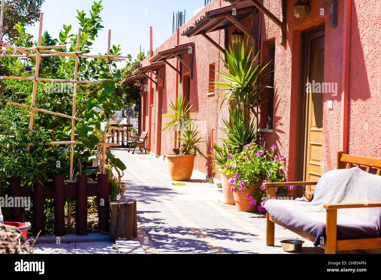Colorful Living, veranda of Red House with Palm Tree Stock Photo - Alamy