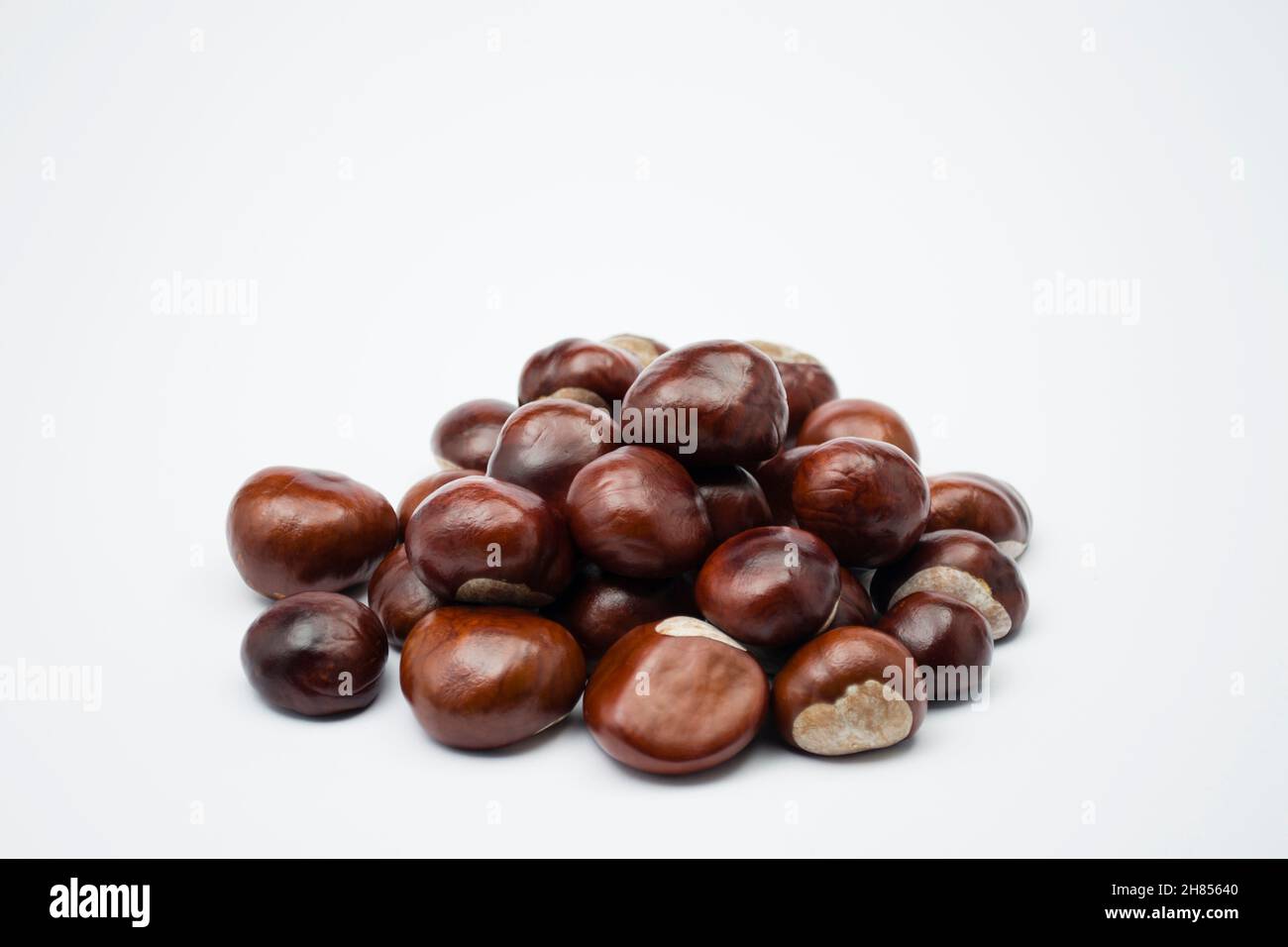 chesnut and isolated white background Stock Photo - Alamy