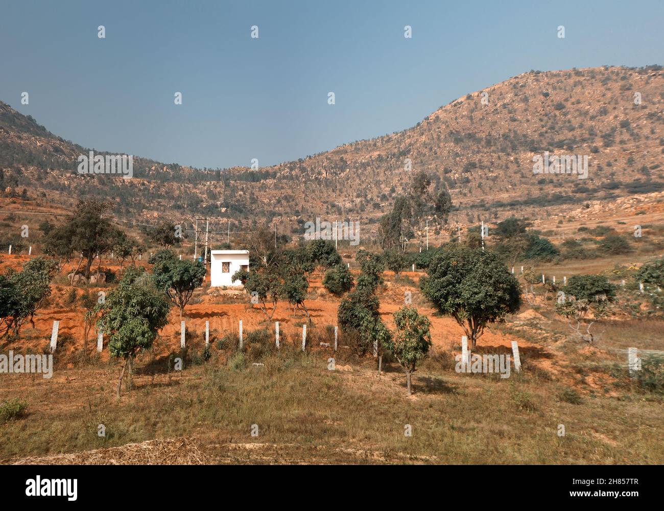 Dry hills and fields in the area of the Deccan plateau, India Stock ...
