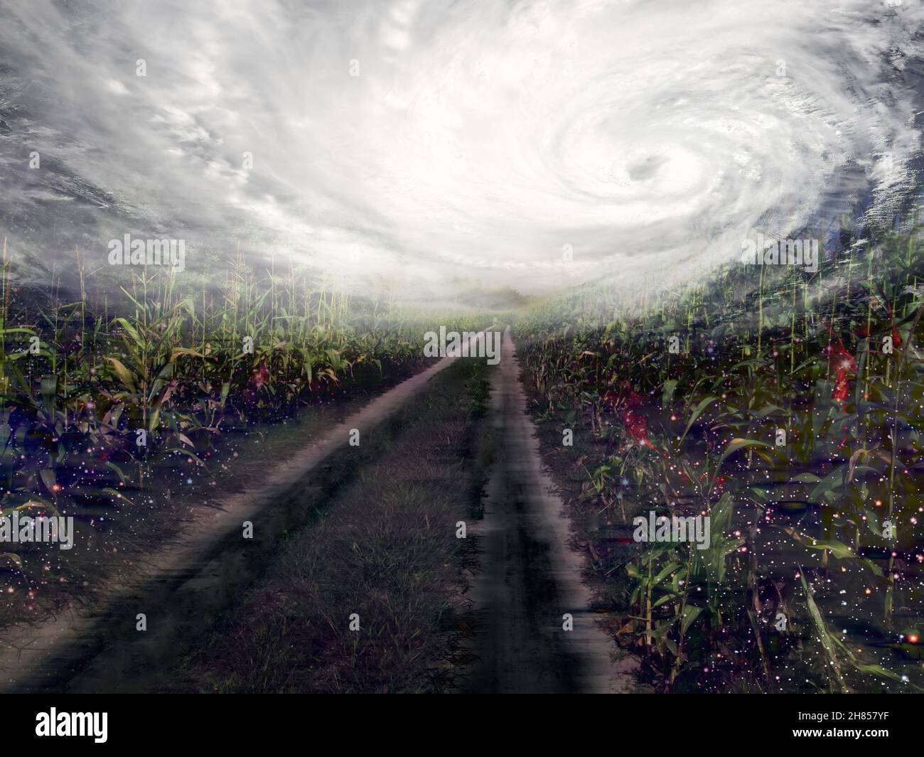 A microcosm of the universe hi-res stock photography and images - Alamy