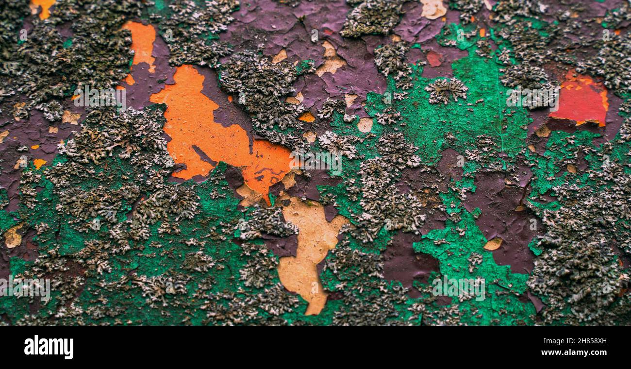 Multicolored background with rough rust texture on metal surface Stock ...