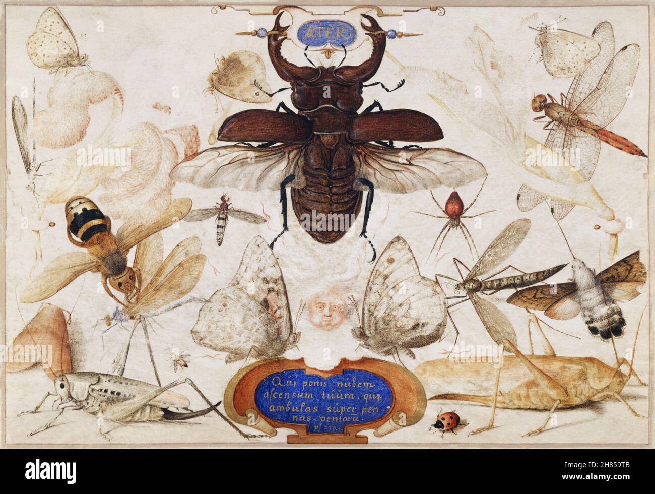 Insects and the Head of a Wind God (1590–1600) painting in high ...