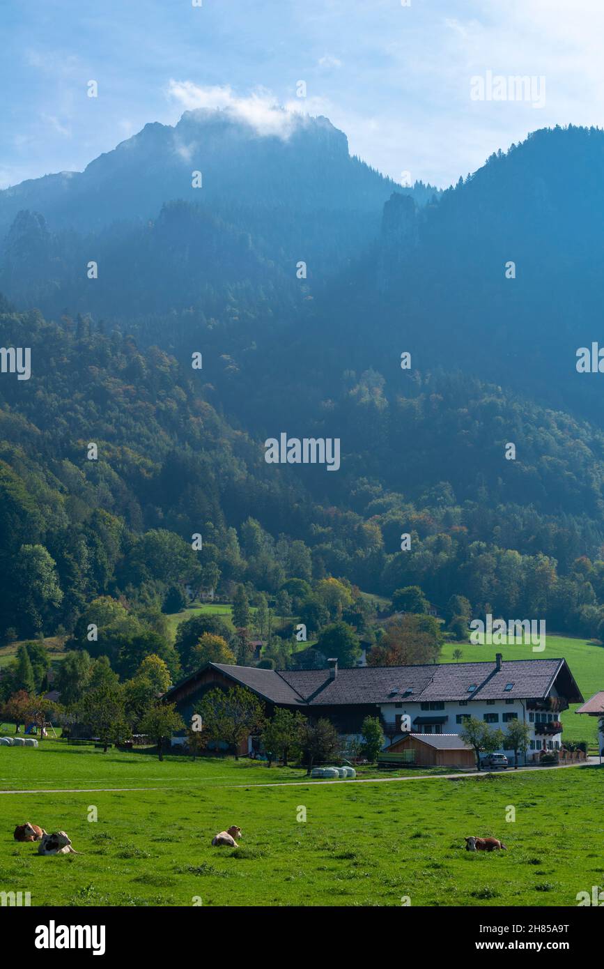 Agricultural landscape with pastures and meadows in the pre-alpine ...