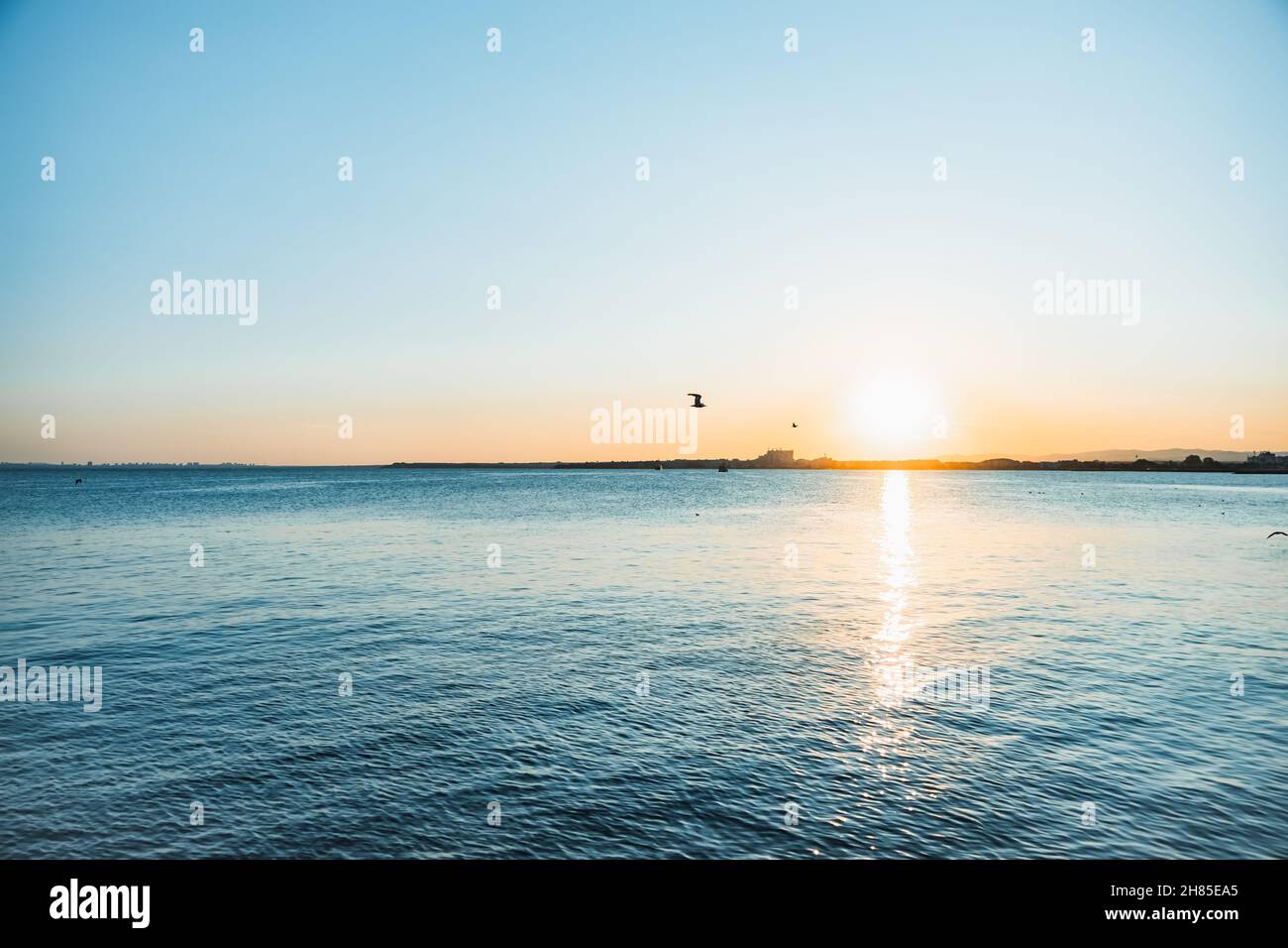 Warm sea sunset landscape. Beautiful sea view. Warm golden hour light ...