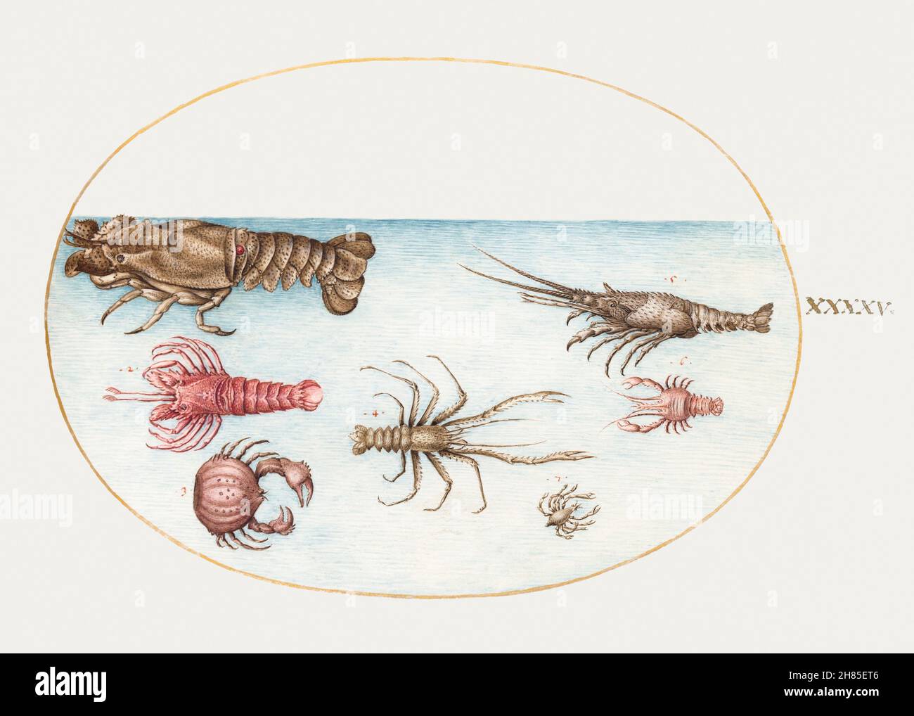 Lobster, Squilla Mantis, and Other Crustaceans (1575–1580) painting in ...