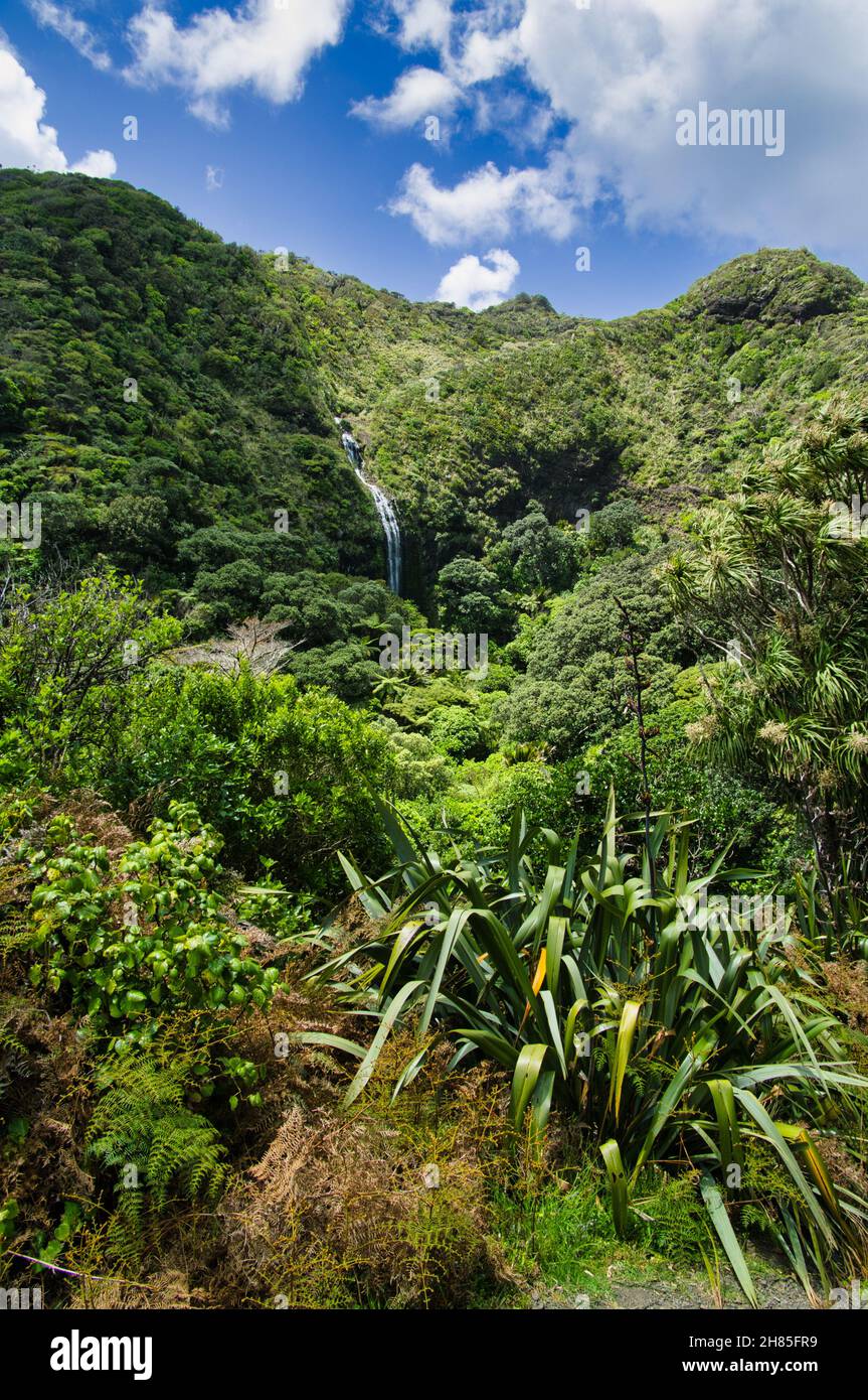 Karekare Falls, in the lush green subtropical rainforest of the ...