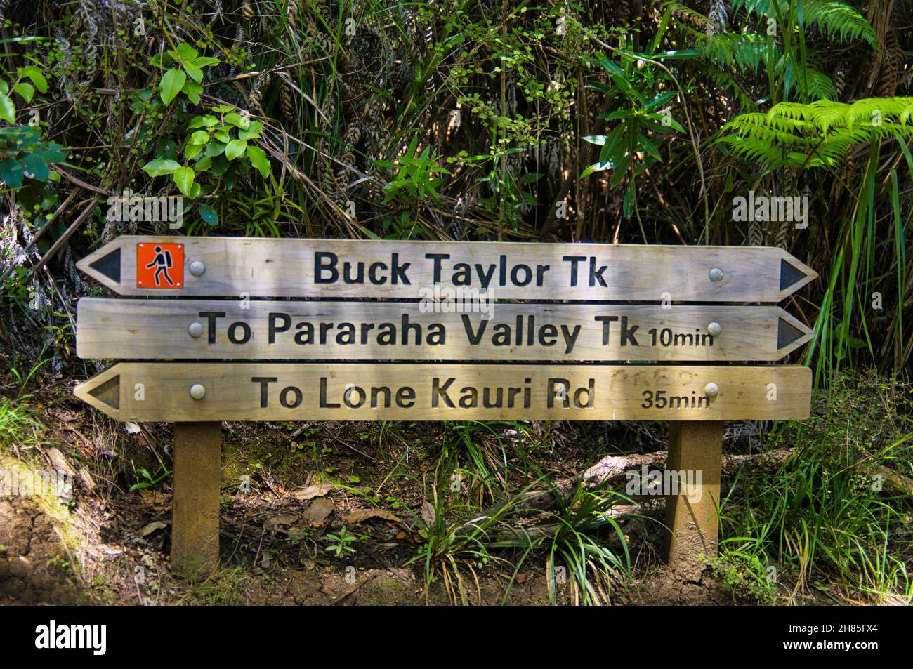 Wooden directions signs to walking tracks in the Waitakere Ranges ...
