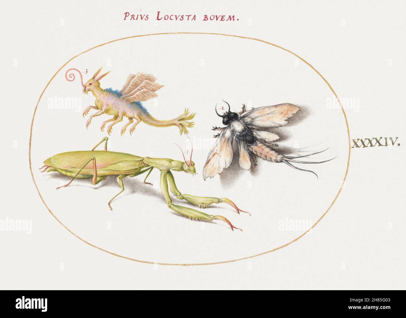 Mantis and Mayfly with an Imaginary Insect (1575–1580) painting in high ...