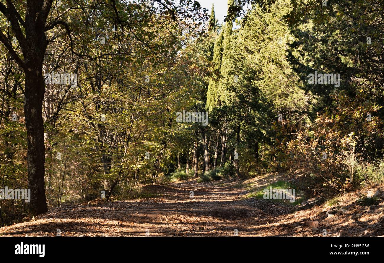 Mount subasio park hi-res stock photography and images - Alamy