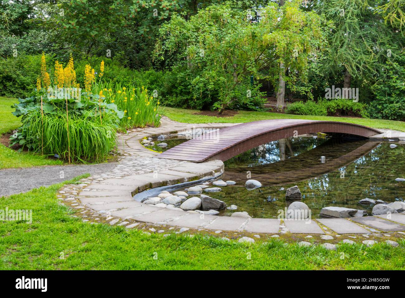 Beautiful Akureyri Botanic Garden in north Iceland Stock Photo - Alamy