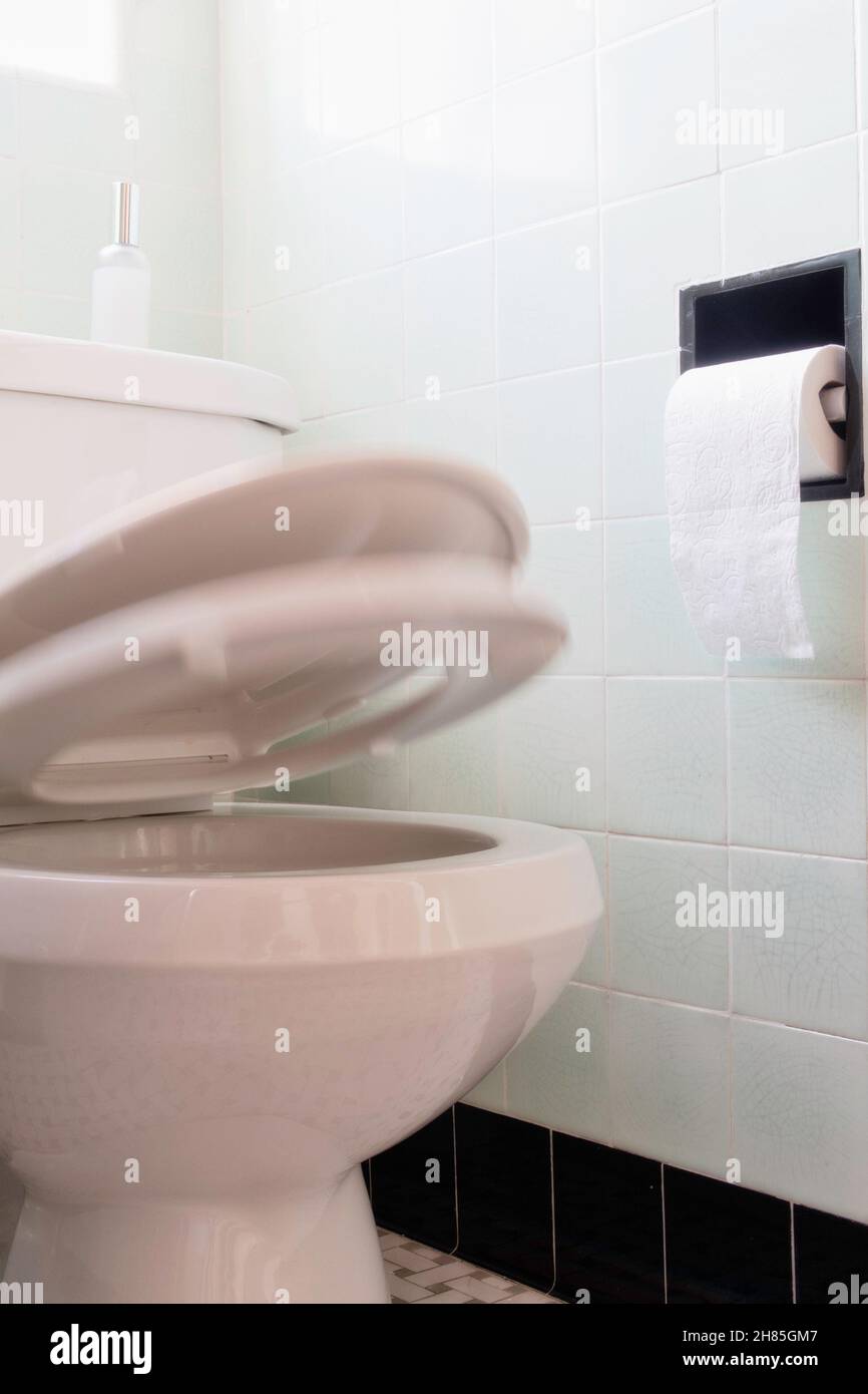 American toilet hi-res stock photography and images - Alamy