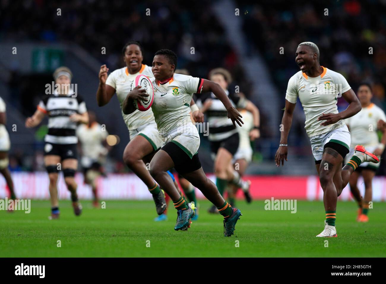 Springboks rugby 2021 hi-res stock photography and images - Alamy