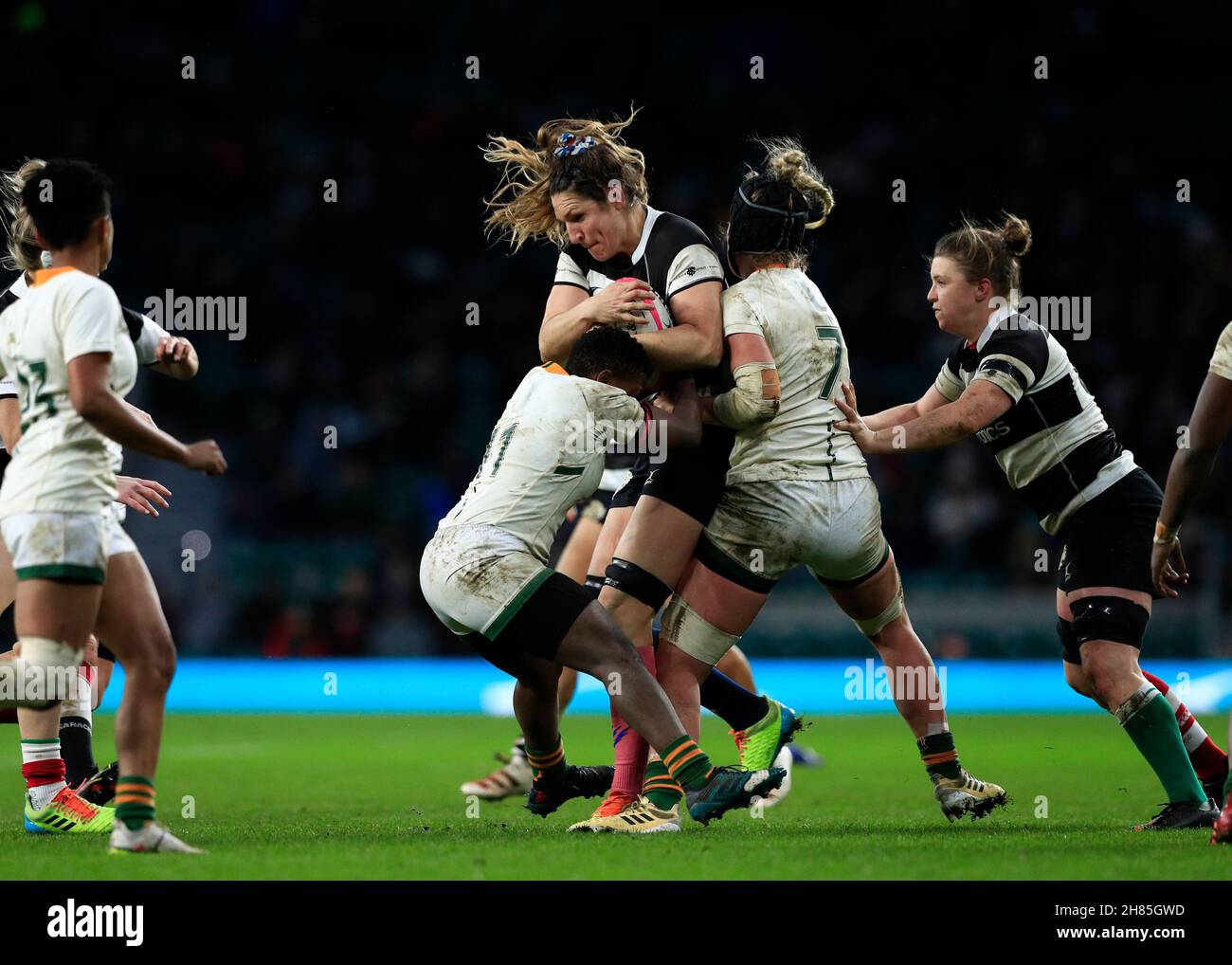 Catha jacobs hi-res stock photography and images - Alamy