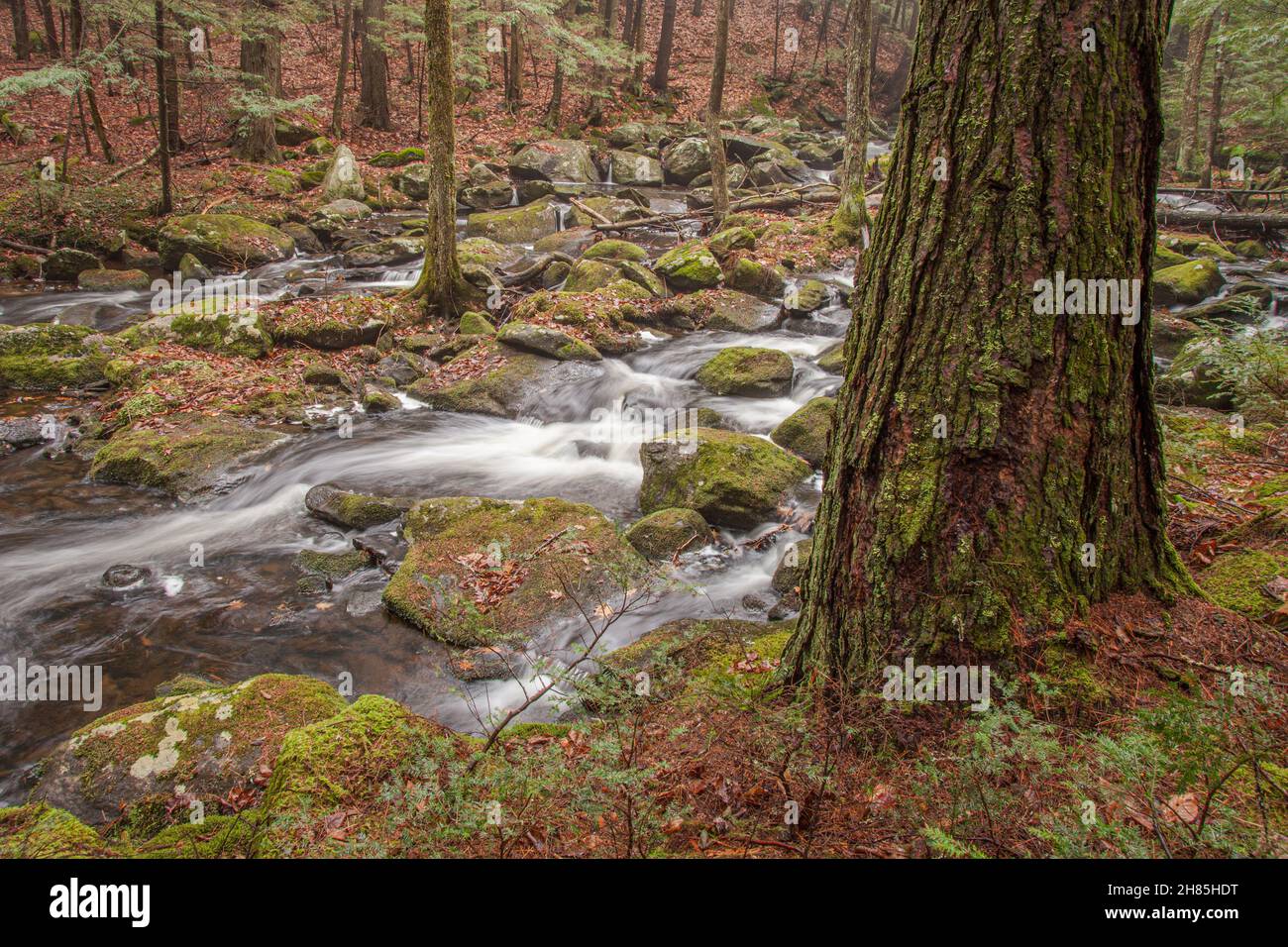 Rutland brook hi-res stock photography and images - Alamy
