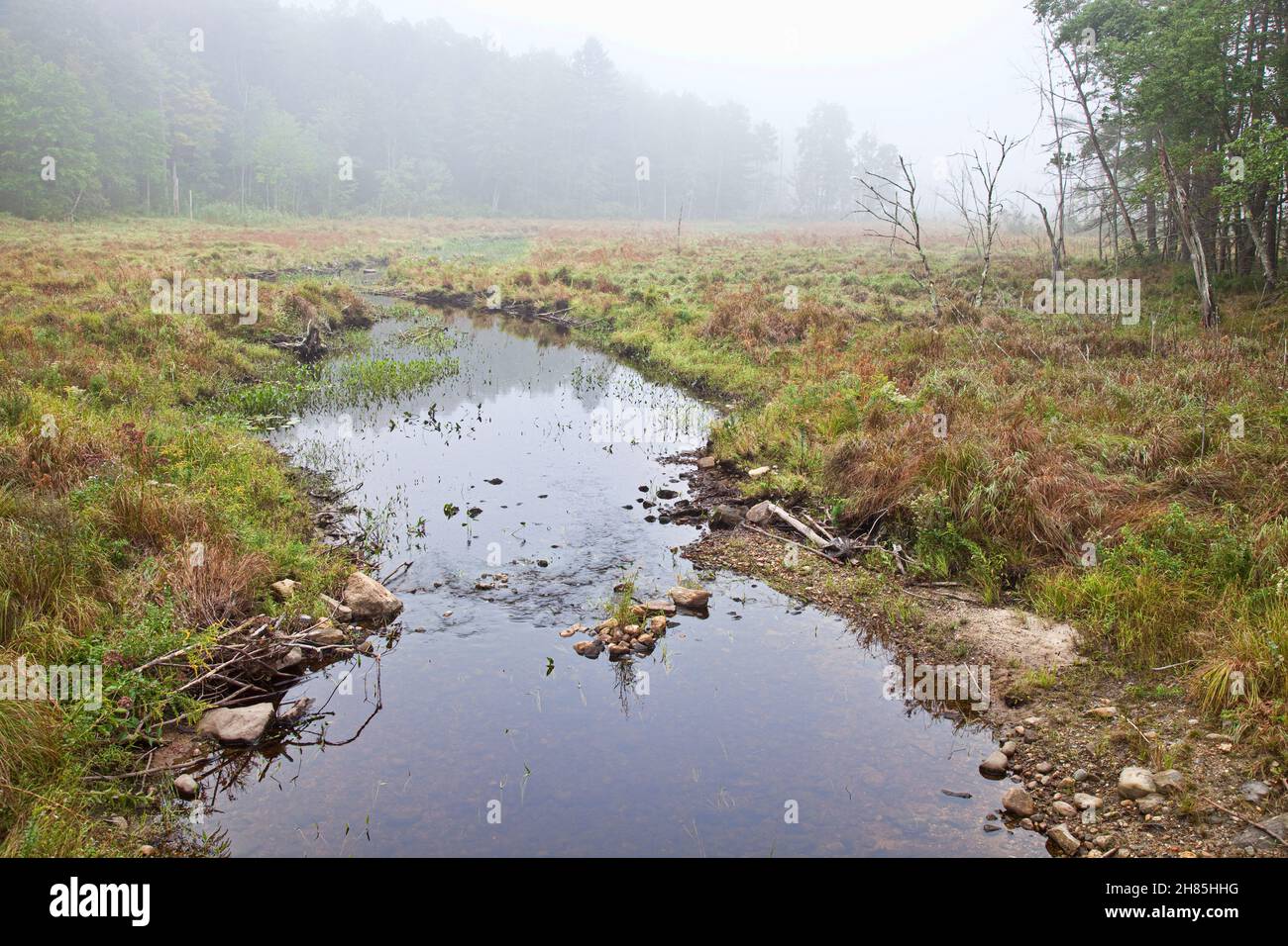 The East Branch of the Swift River in Petersham, MA Stock Photo - Alamy