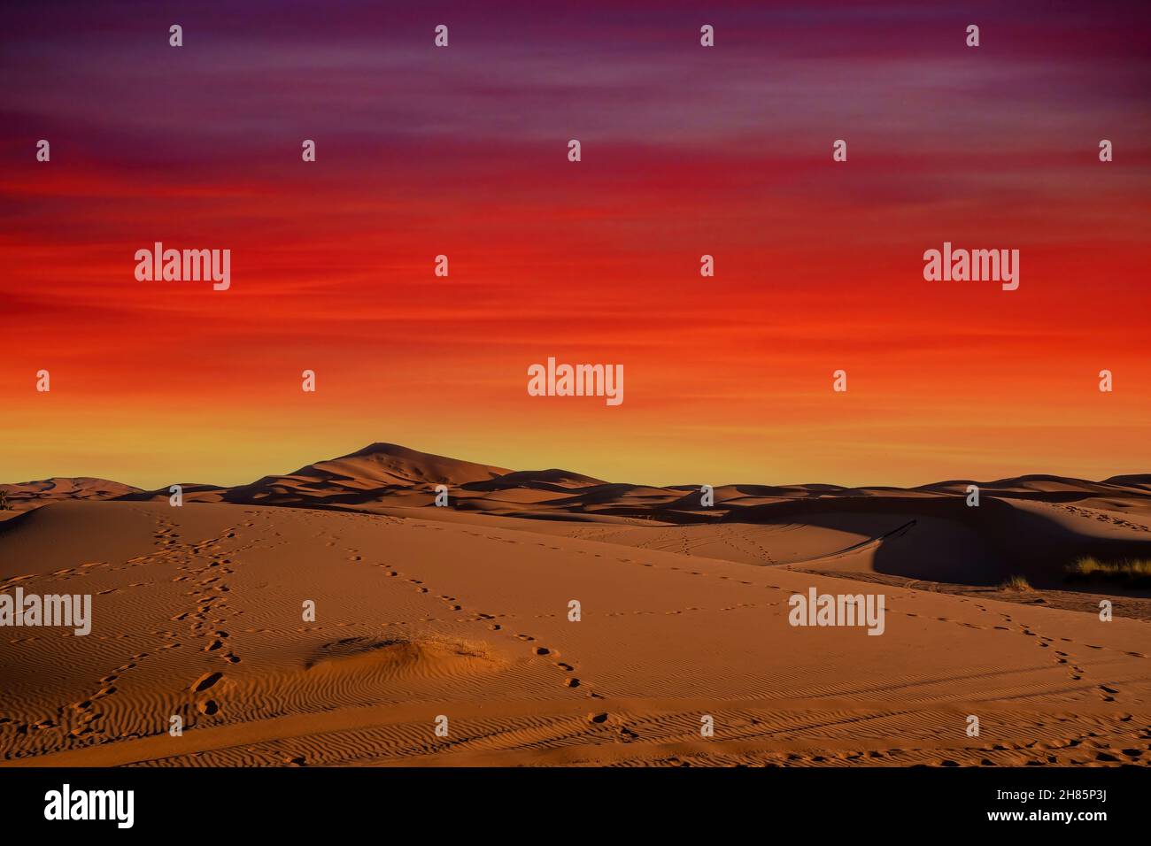 Merzouga, Errachidia, USA. 9th Nov, 2021. Sand dunes in the great ...