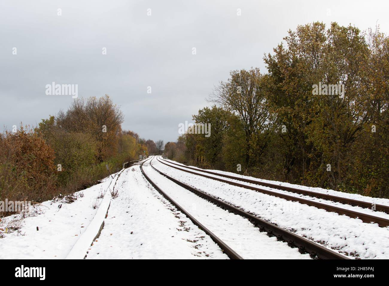 Railroad in focus trees hi-res stock photography and images - Alamy
