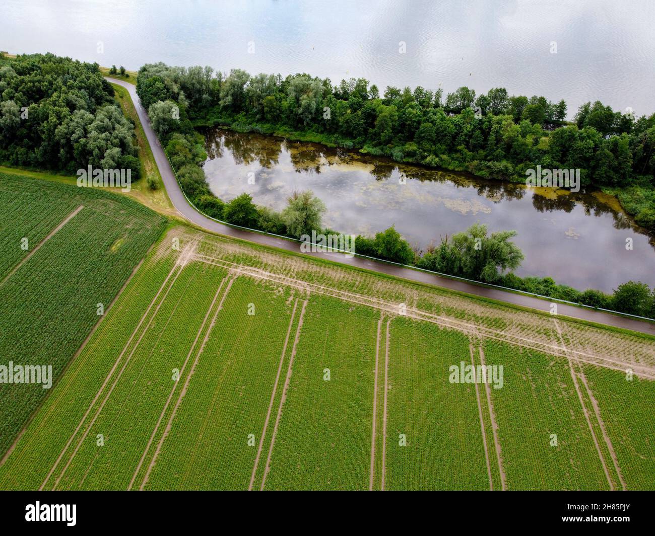 Aerial view of a pond with trees next to an agricultural land field in ...