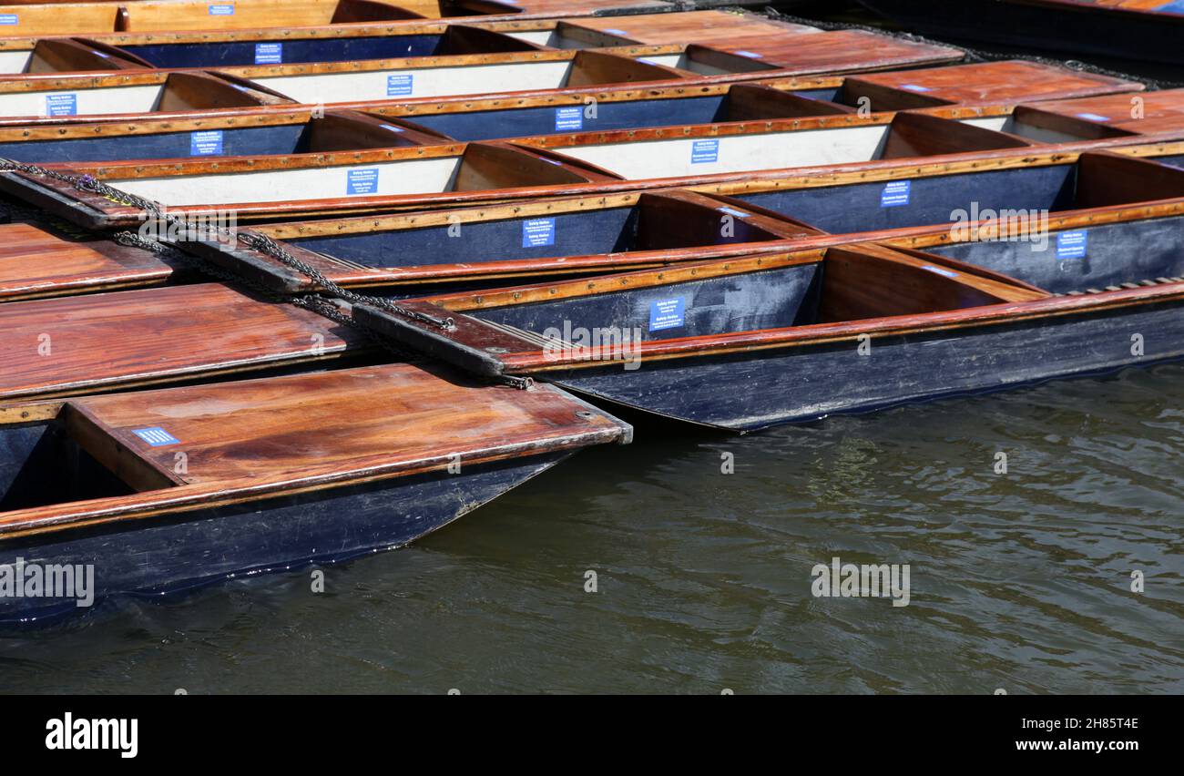 A group of wooden punts tied together on the river Cam in Cambridge ...