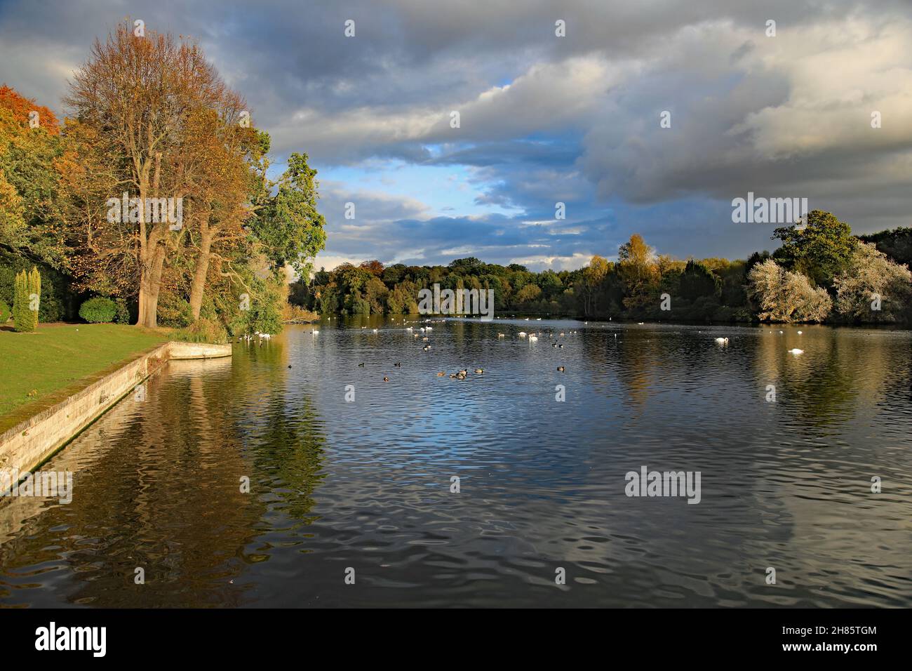 Clumber Park National Trust High Resolution Stock Photography and ...