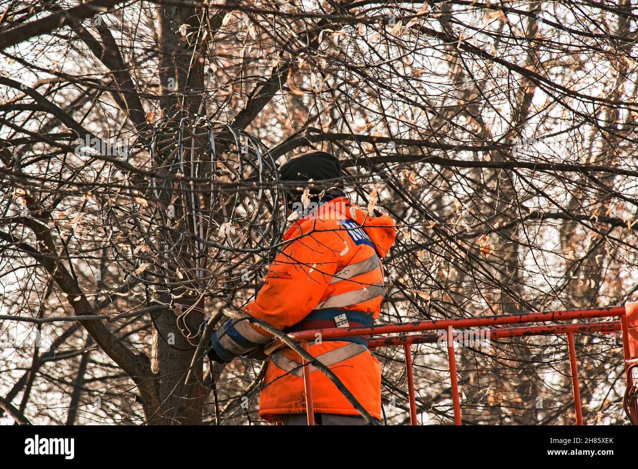 Municipal workers on a truck crane install and decorate trees in the ...