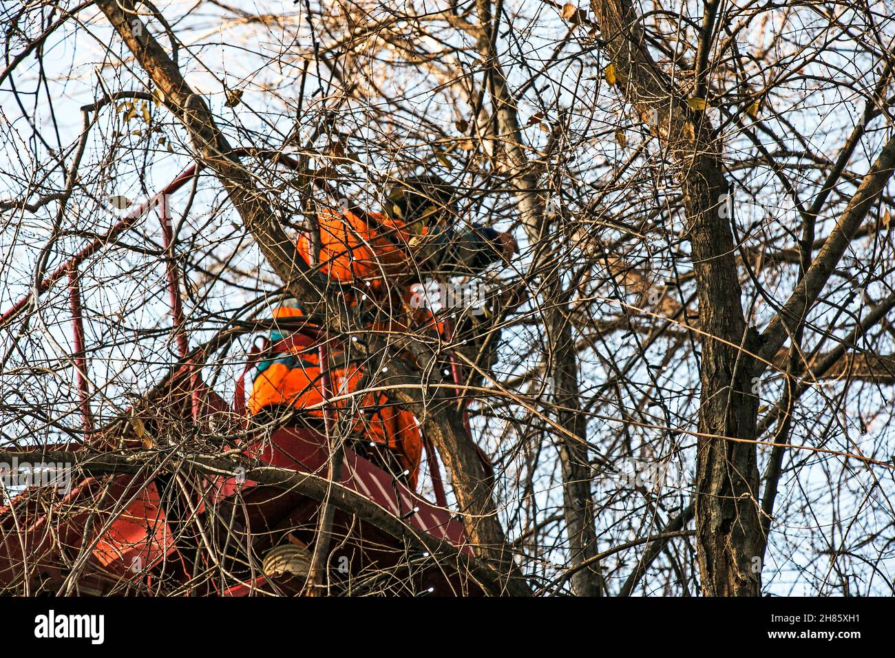 Municipal workers on a truck crane install and decorate trees in the ...