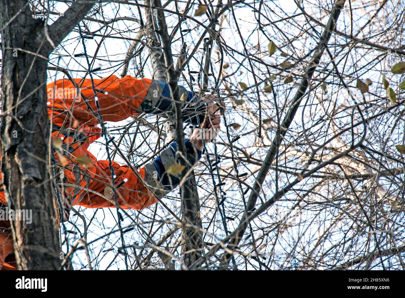 Municipal workers on a truck crane install and decorate trees in the ...