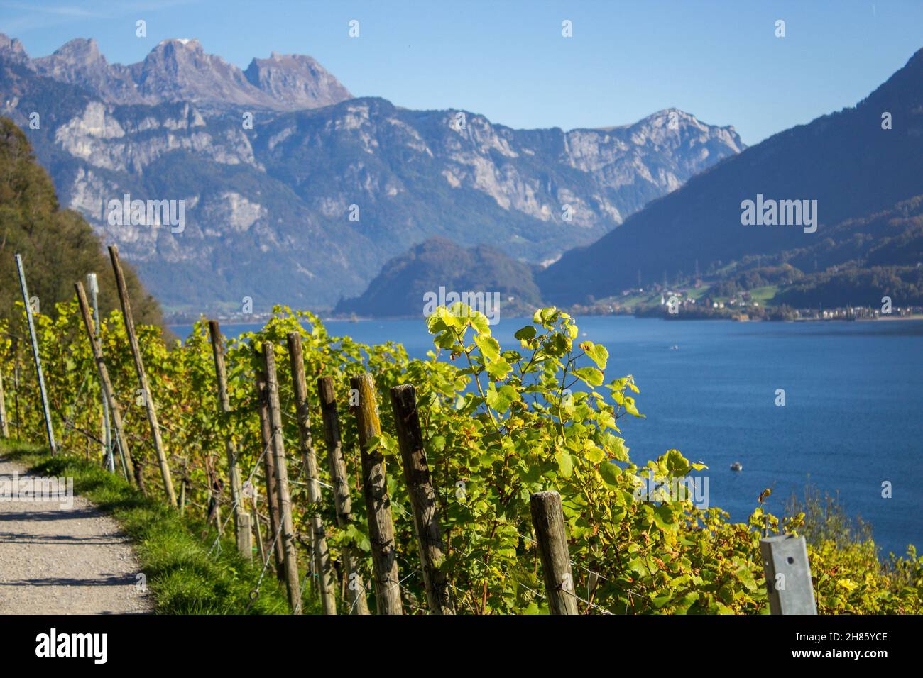 Quinten hi-res stock photography and images - Alamy
