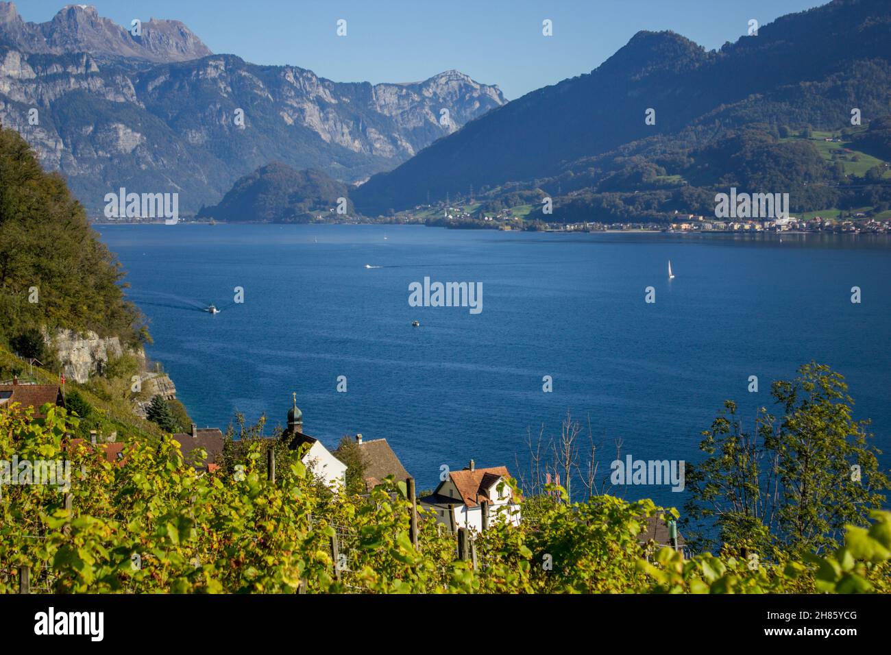 Quinten hi-res stock photography and images - Alamy