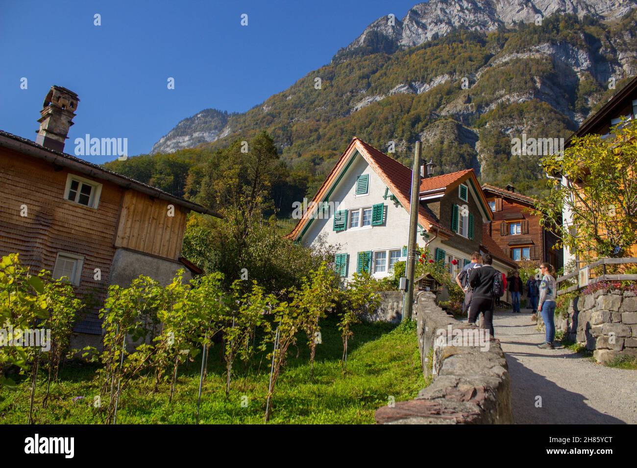 Quinten hi-res stock photography and images - Alamy