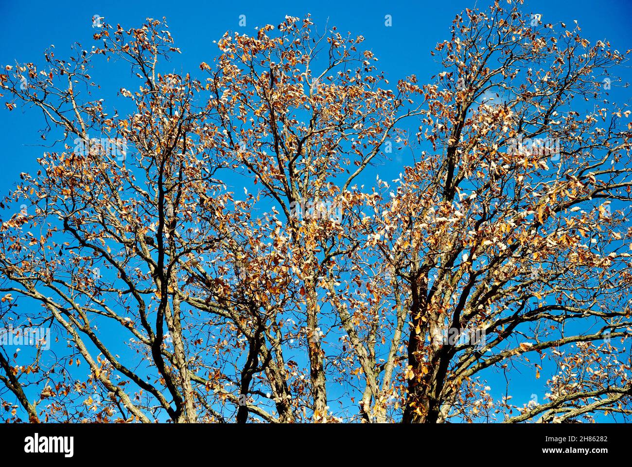 Blue sky with colors hi-res stock photography and images - Alamy