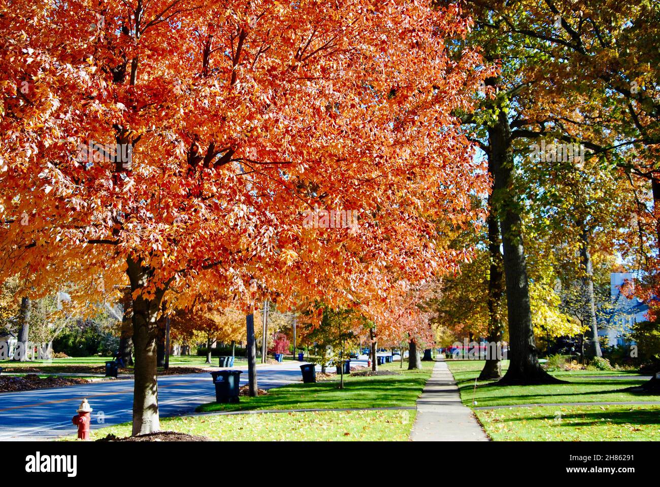 Small street with trees in autumn colors in Lakewood, Ohio Stock Photo ...
