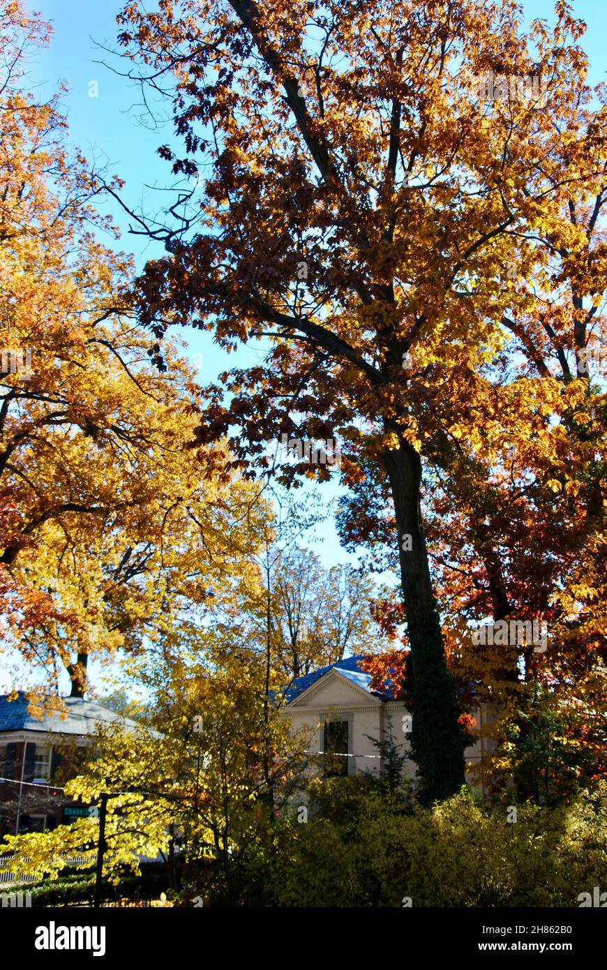 Building surrounded by beautiful fall colors Stock Photo - Alamy