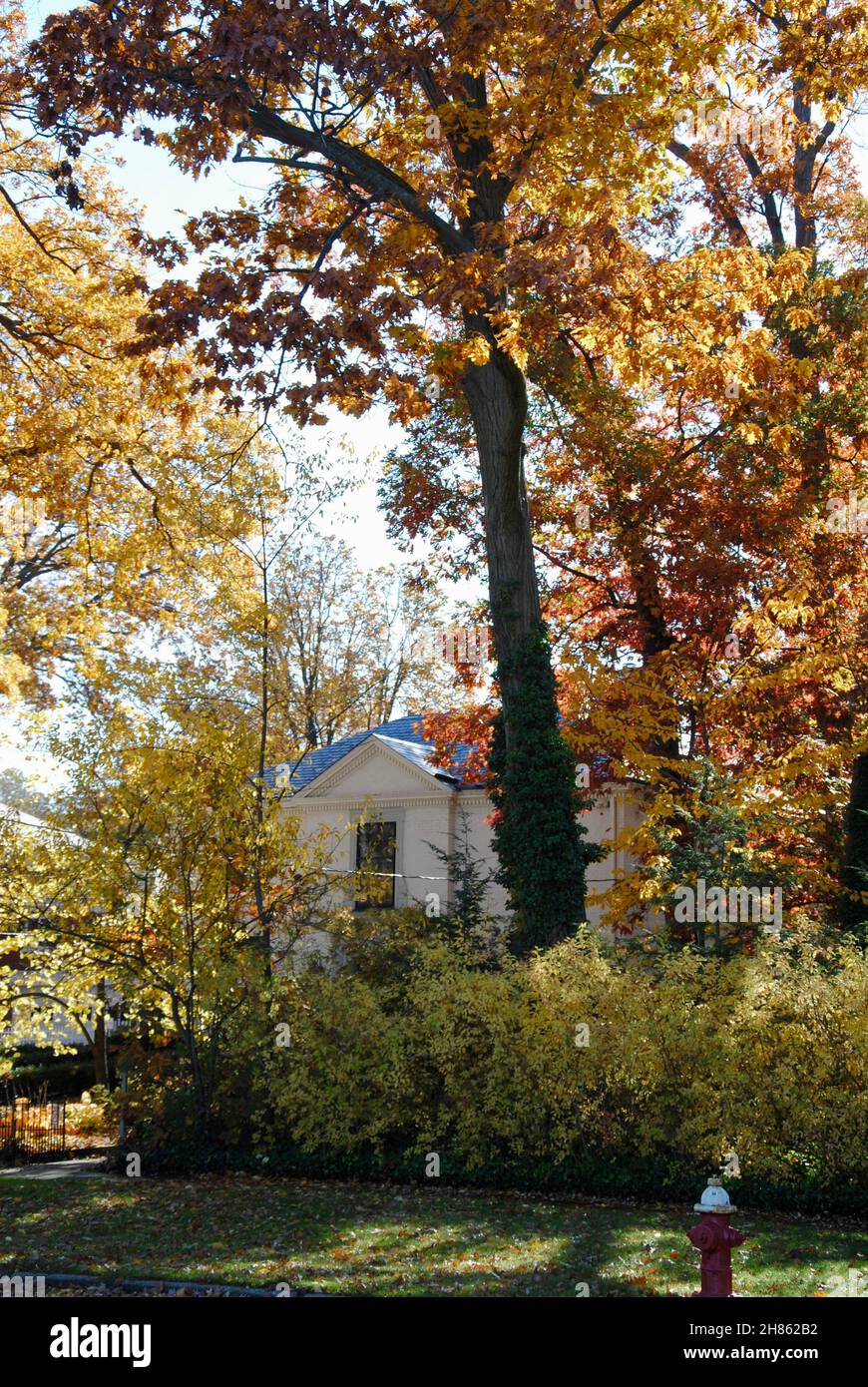 Building surrounded by beautiful fall colors Stock Photo - Alamy