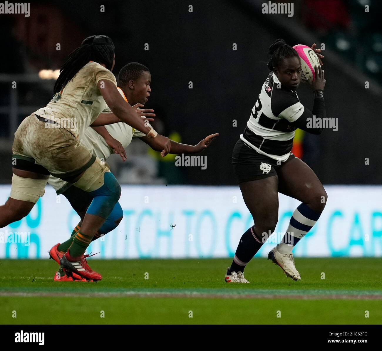 Pam africa hi-res stock photography and images - Alamy