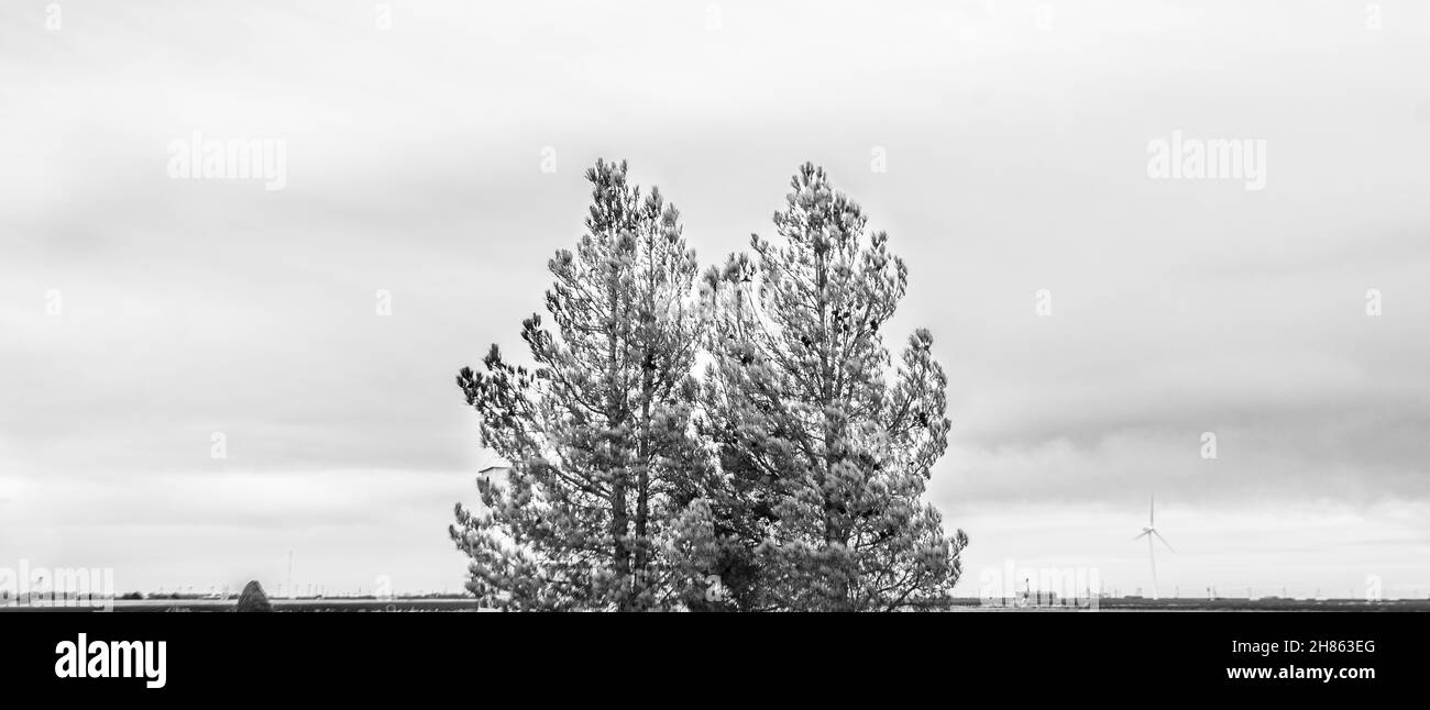 Rustic texas nature hi-res stock photography and images - Alamy